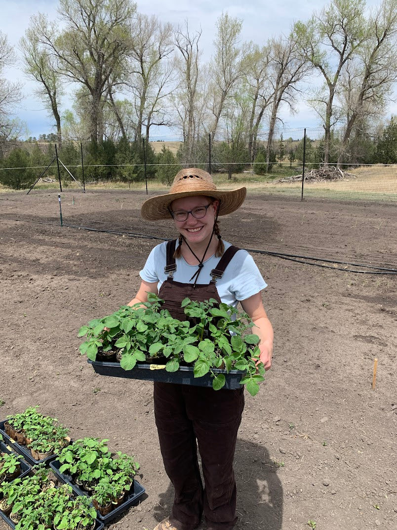 Gallery – Further Up Farms